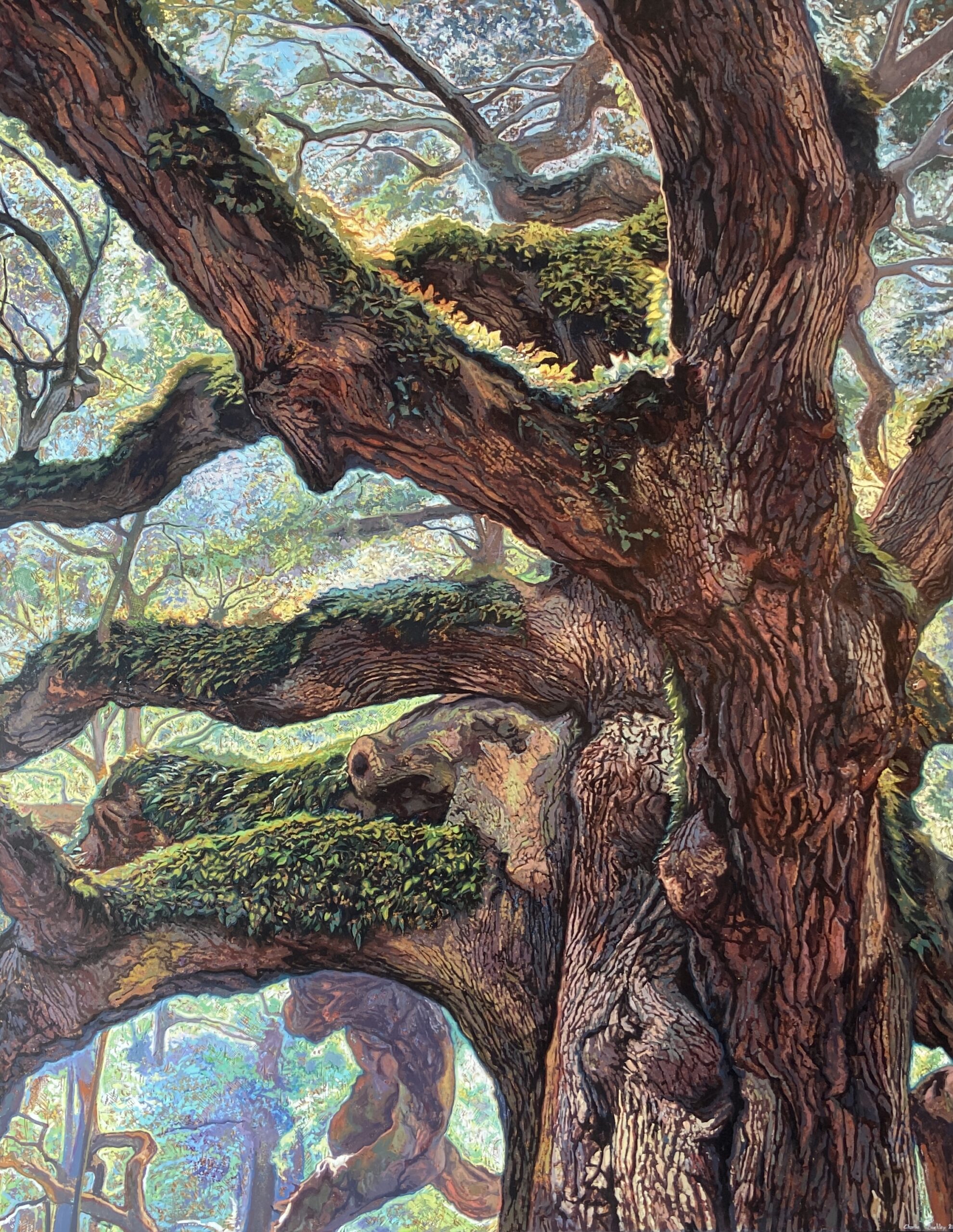 The Land Through Charlie Buckley's Eyes - Oxford Magazine